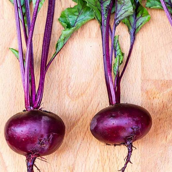 Beetroot Crosby's Egyptian Flat Heirloom Open-Pollinated, no GMO Seeds ...